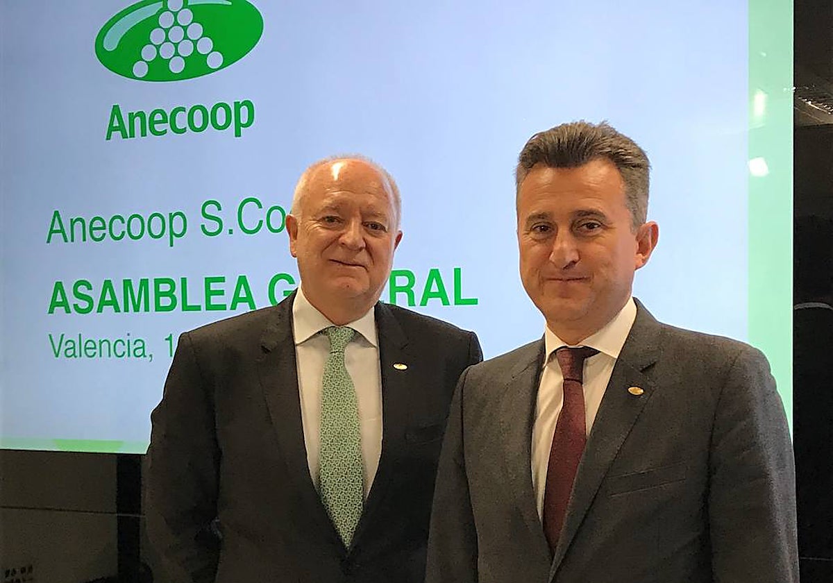 Anecoop factura 998 millones de euros pero sus beneficios caen un 54%, hasta los 2,3 millones ...